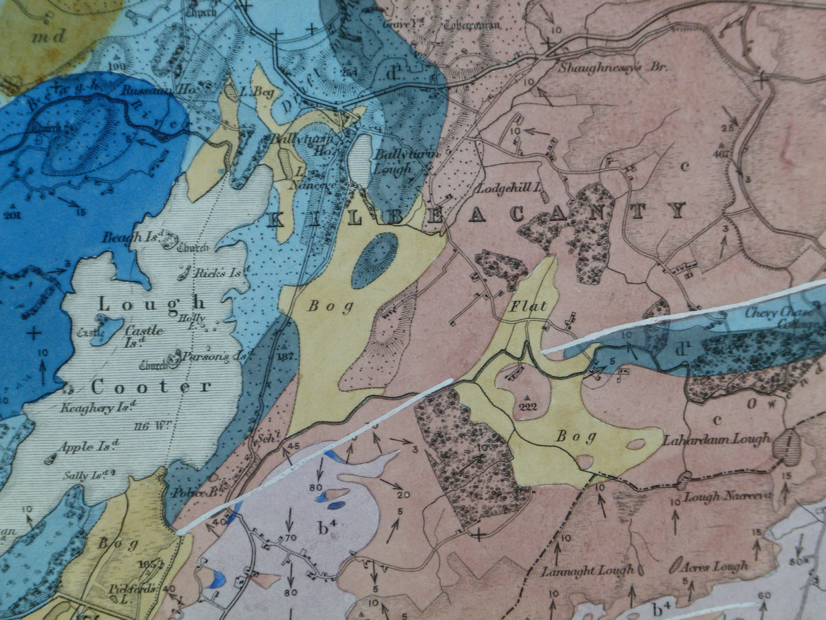 Ireland sheet 124, Gort, 1” scale. 1901. Covers Lough Cooter. Base map ...